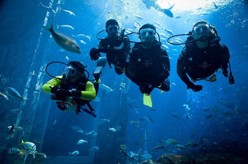 Learn How To Scuba Dive - Business Guide Ottawa
